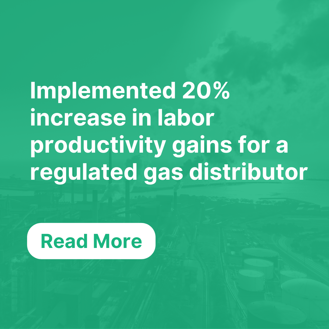 Implemented 20% increase in labor productivity gains for a regulated ...